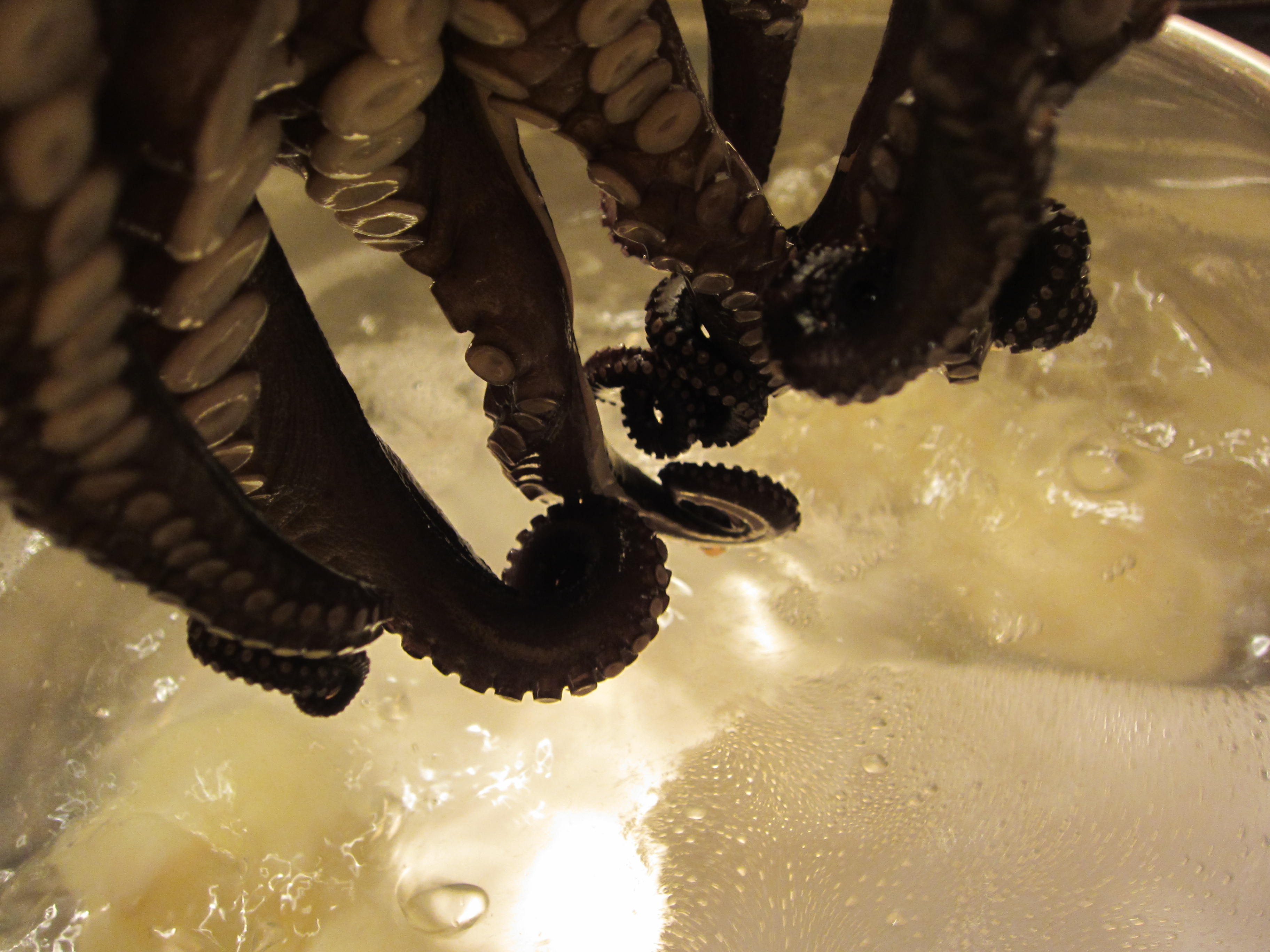 How to boil an Octopus | cooklikejapanese