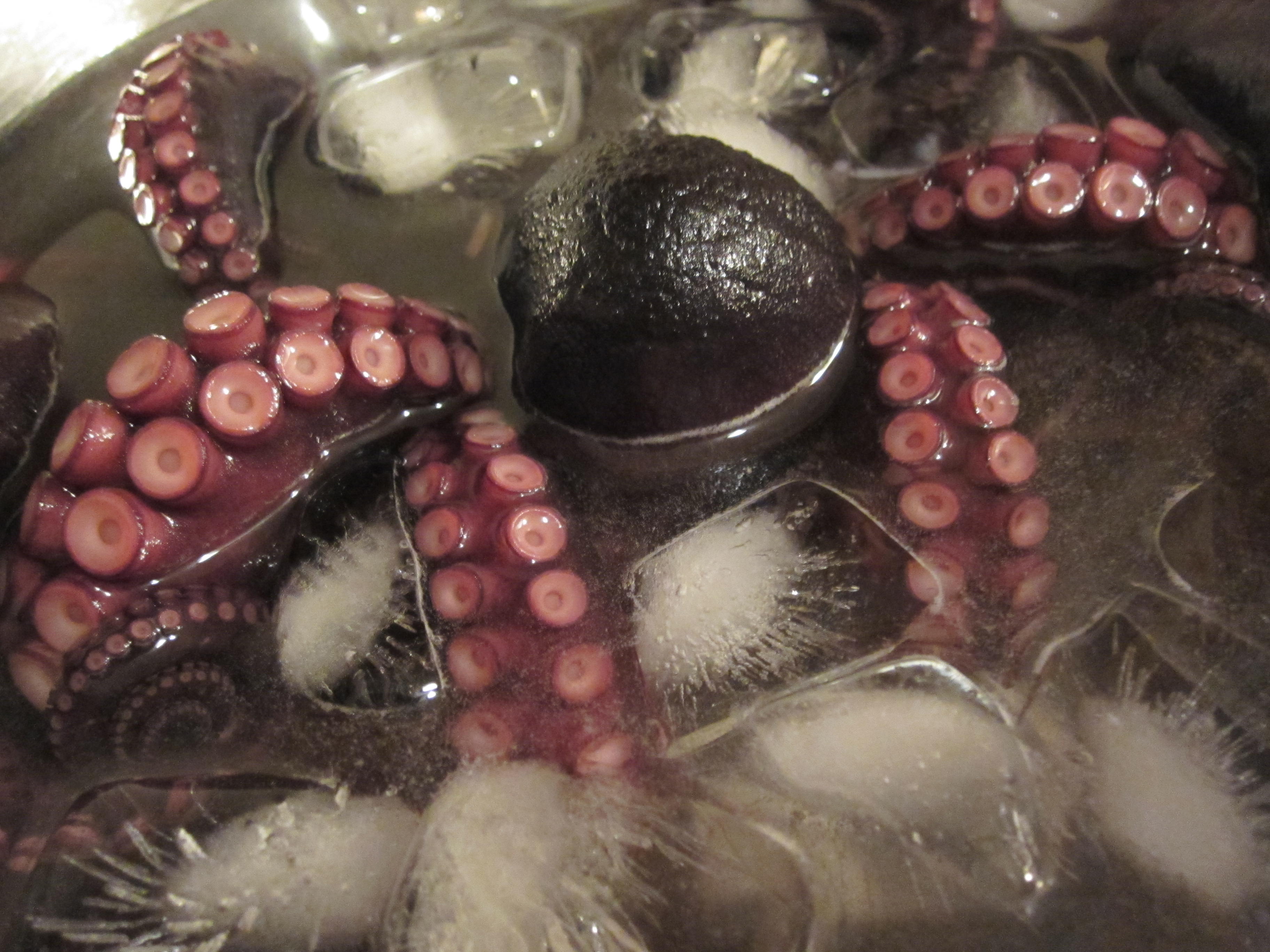 How to boil an Octopus | cooklikejapanese