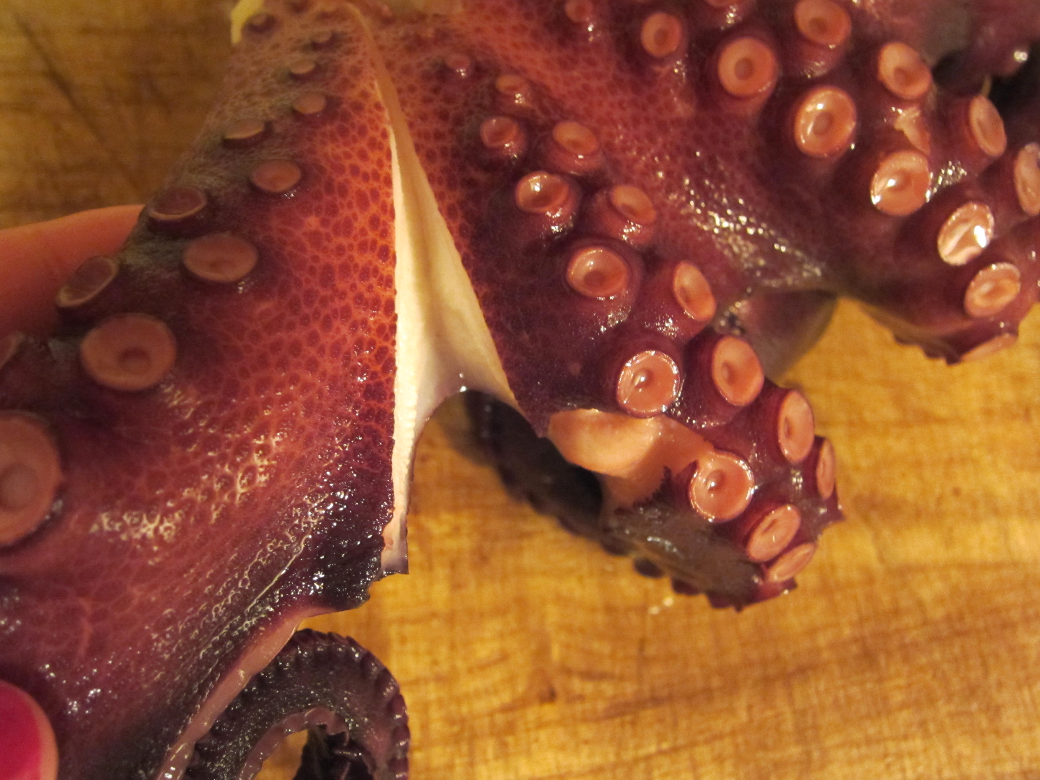 How to boil an Octopus | cooklikejapanese